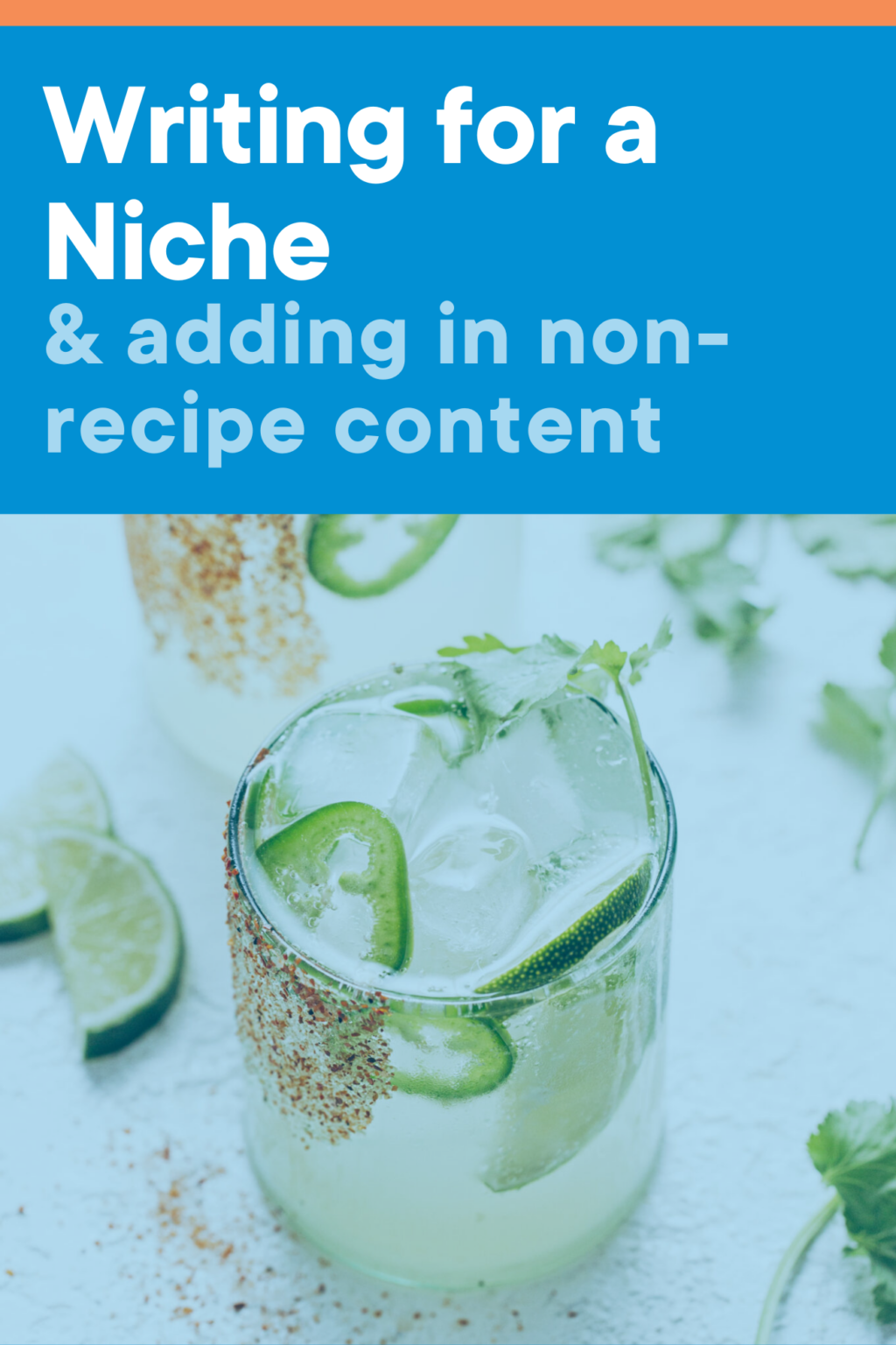Writing for a Niche & Adding in Non-Recipe Content - Food Blogger Pro